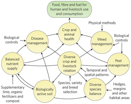 ISY00243 Fact-Finding Techniques Assignment Help