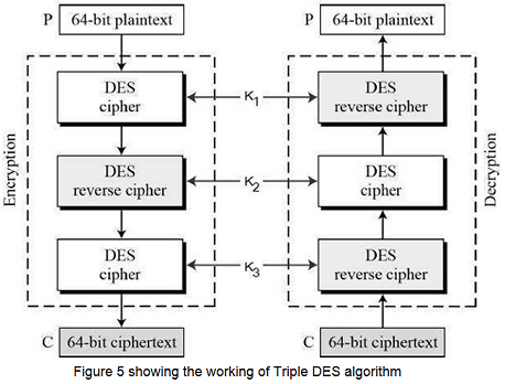 Symmetric and Asymmetric Encryption Algorithms Assignment Help