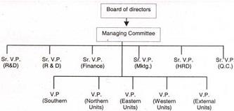 Organizational Structure Assignment Help